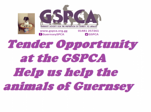 Tender Opportunity at the GSPCA | GSPCA Guernsey